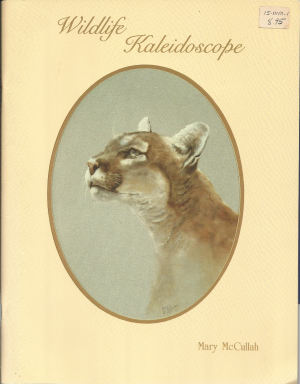 Decorative Painting Bookstore: Wildlife Kaleidoscope - Mary McCullah