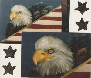 Decorative Painting Bookstore: An Eagle Eye - Cheri Rol