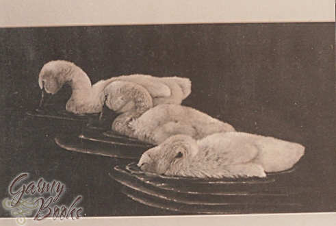 Decorative Painting Bookstore: Tender Triplets - Mary McCullah