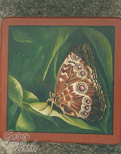 Decorative Painting Bookstore: Caught In The Light - Mary McCullah