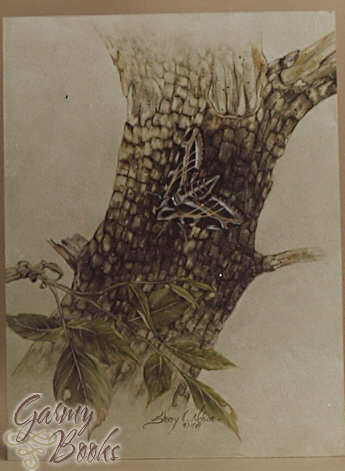 Decorative Painting Bookstore: Sphinx Moth - Sherry C Nelson