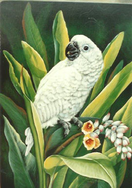 Decorative Painting Bookstore: Mario Cockatoo - Karen Hubbard