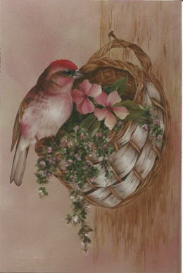 Decorative Painting Bookstore: Cassin's Finch - Sherry C Nelson