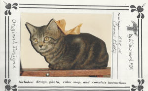 Decorative Painting Bookstore: Coon Kitty - Vi Thurmond ACR14